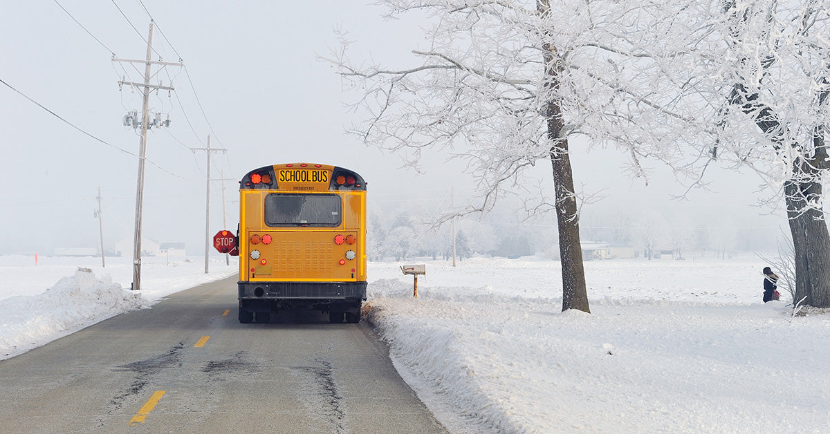 Back to School: Round Two – Zebra Pen