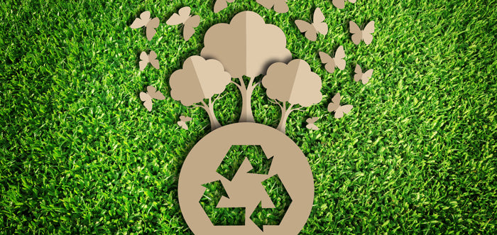 Zebra Eco Pens, A Choice for the Environment - Zebra Pen