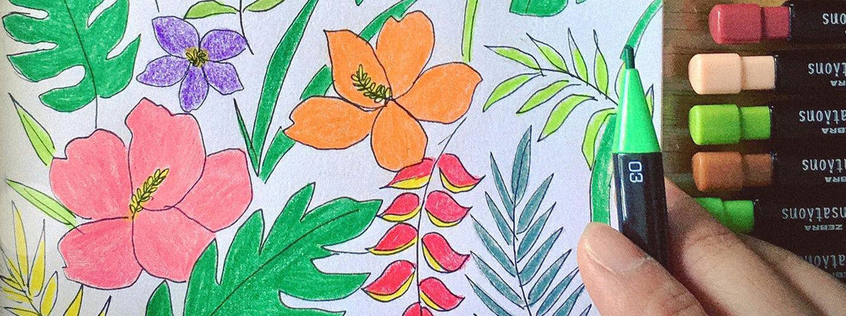 Color Confidently with Zensations Mechanical Colored Pencils – Zebra Pen