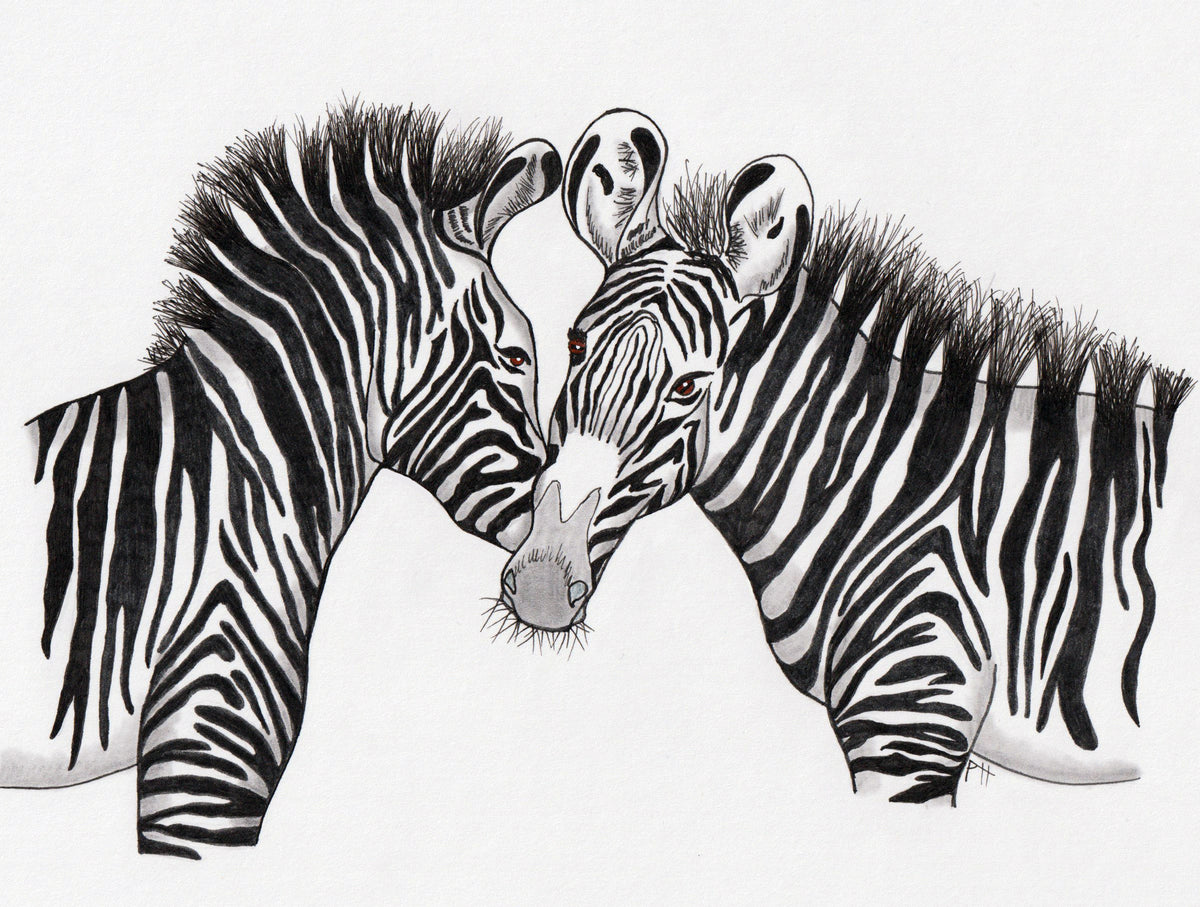 How to Draw a Grevy's Zebra Tutorial – Zebra Pen